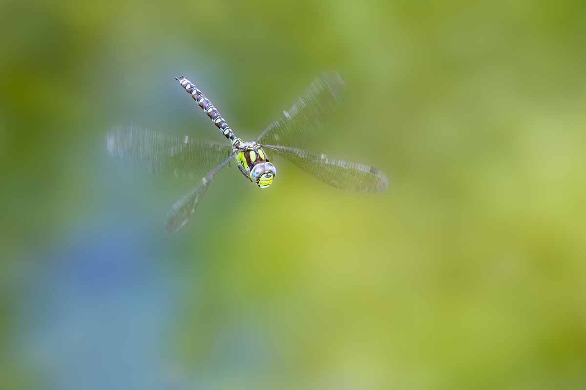 Judith Flacke - Group 07 - PSA Digital Dialogue