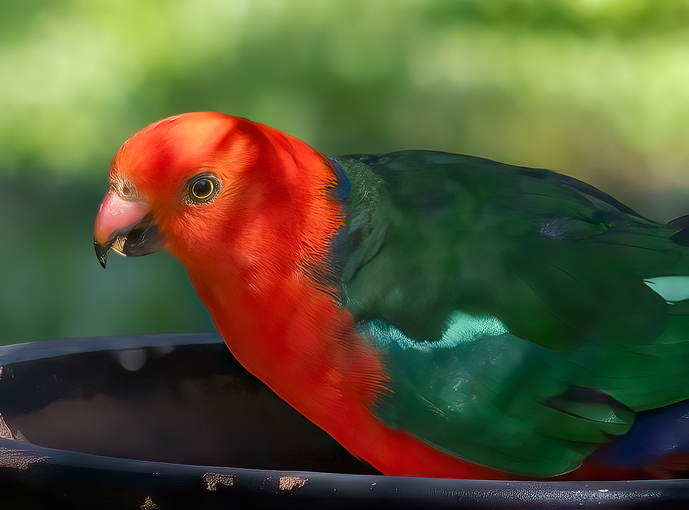 Danny Dunne - Group 27 - PSA Digital Dialogue