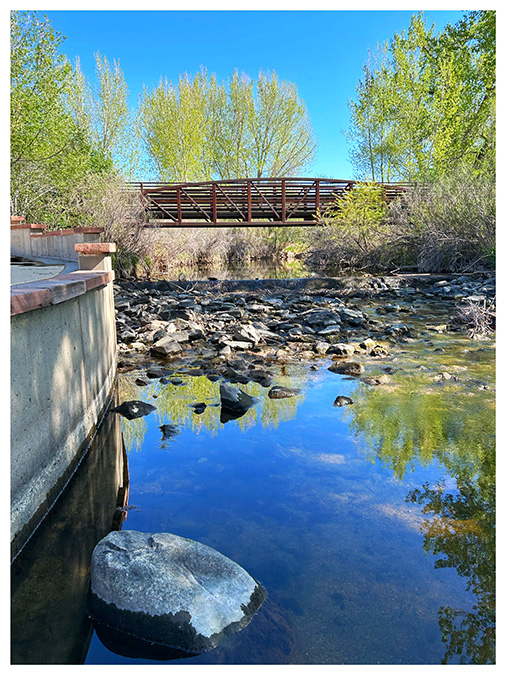 Robert Barley - Group 51 - PSA Digital Dialogue